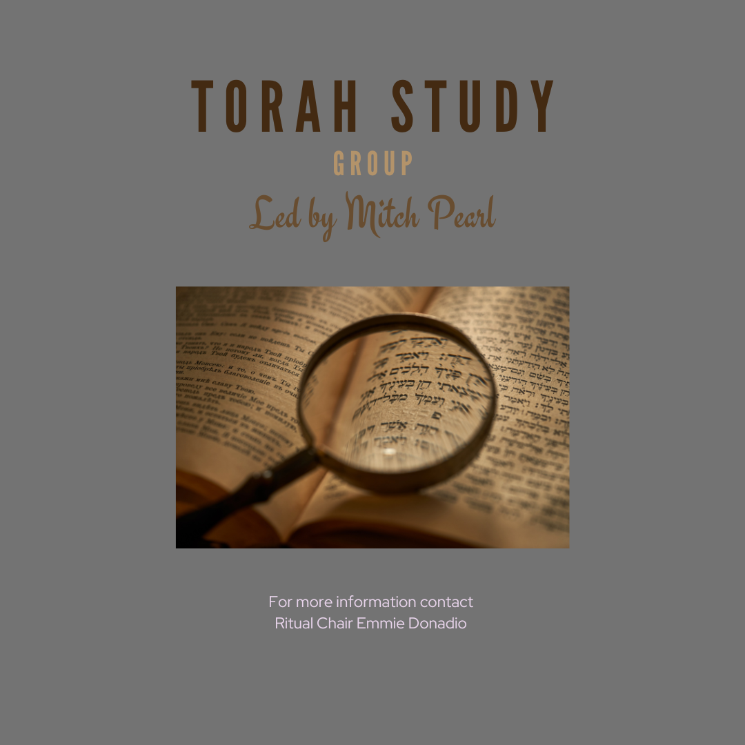 Torah Study Group | Havurah